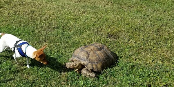 CIRCLE POND TINY COMMUNITY